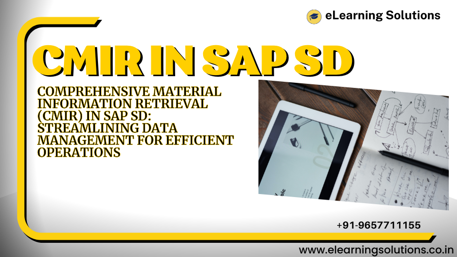 CMIR In SAP SD ELearning Solutions